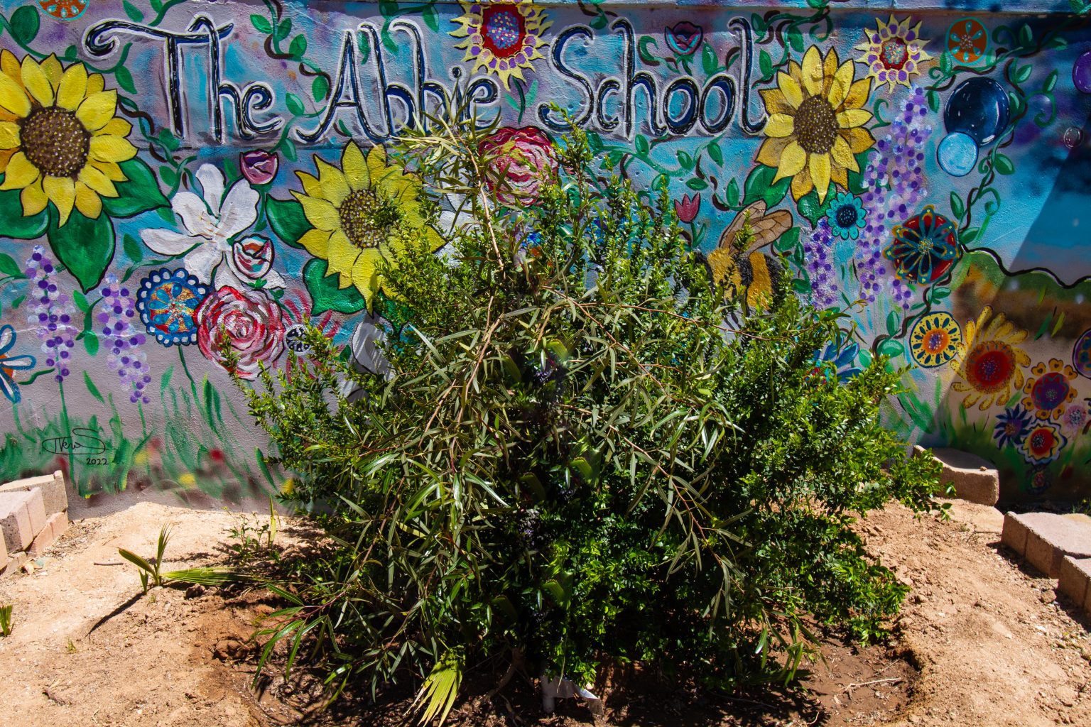 The Abbie School | Arizona Autism Excellence since 1955